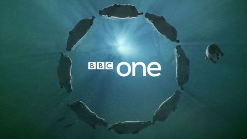 BBC One circle-themed idents replaced by new campaign - BBC News