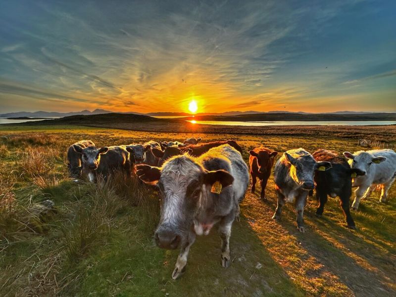 Your pictures of Scotland: 21-28 April - BBC News