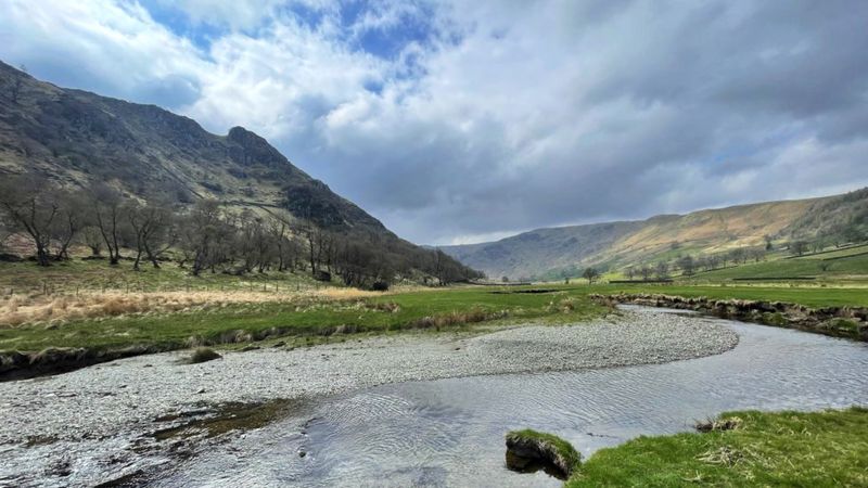 How 'rewiggling' Swindale Beck brought its fish back - BBC News