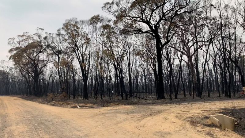 A haunted Australia stares down bushfire disaster again - BBC News