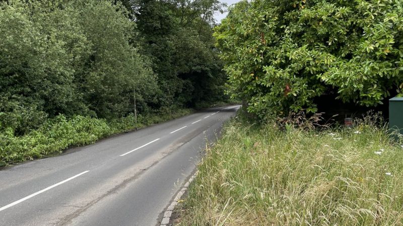 Three teens killed and one hurt as car hits tree in Oxfordshire - BBC News