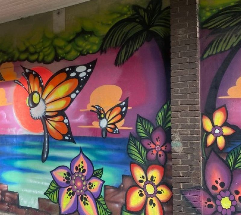 In pictures: Graffiti used to protest climate change and war - BBC News