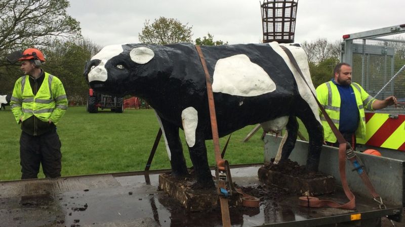 Milton Keynes concrete cows return to museum - BBC News