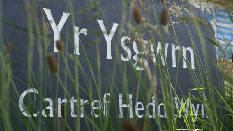 Hedd Wyn: The shepherd poet of Passchendaele - BBC News