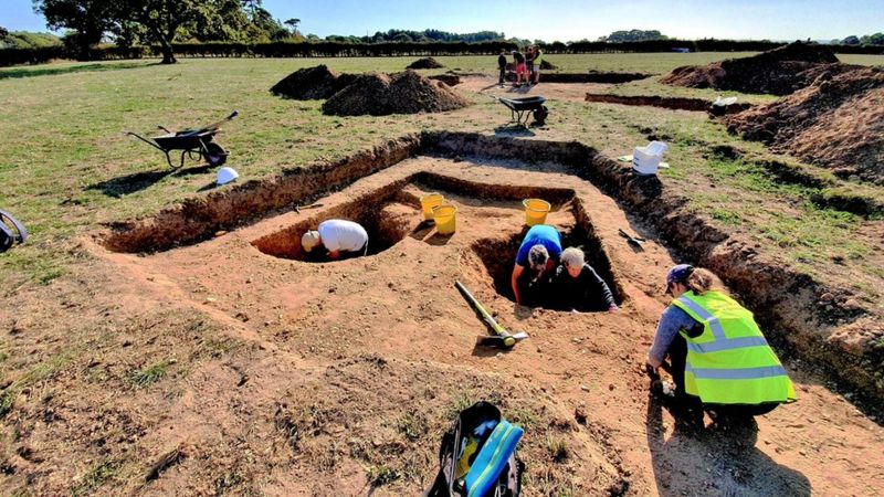 New Forest Stone Age nutshell 'reveals prehistoric campsite' - BBC News