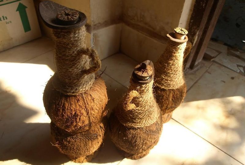Why has Goa decided the coconut palm is no longer a tree? - BBC News