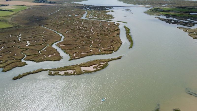 Friends paddle around Mersea Island on giant SUP for RNLI - BBC News