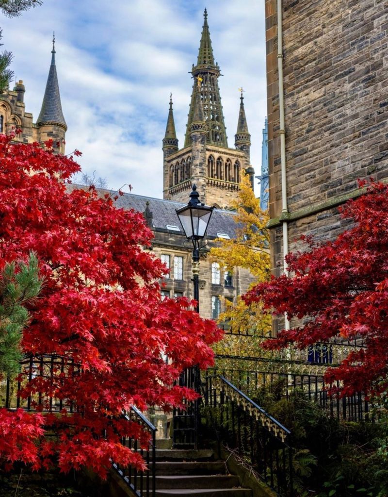 Your pictures of Scotland: 3 November - 10 November - BBC News