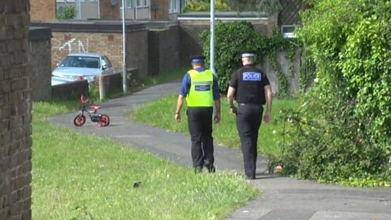 Luton murder: Man convicted after driving over 'defenceless' victim ...