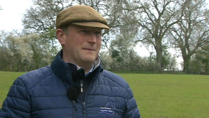 Horse owners warned over sycamore poisoning risk - BBC News