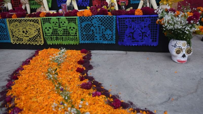 Día de Muertos: cuál es el origen y significado de la flor de ...