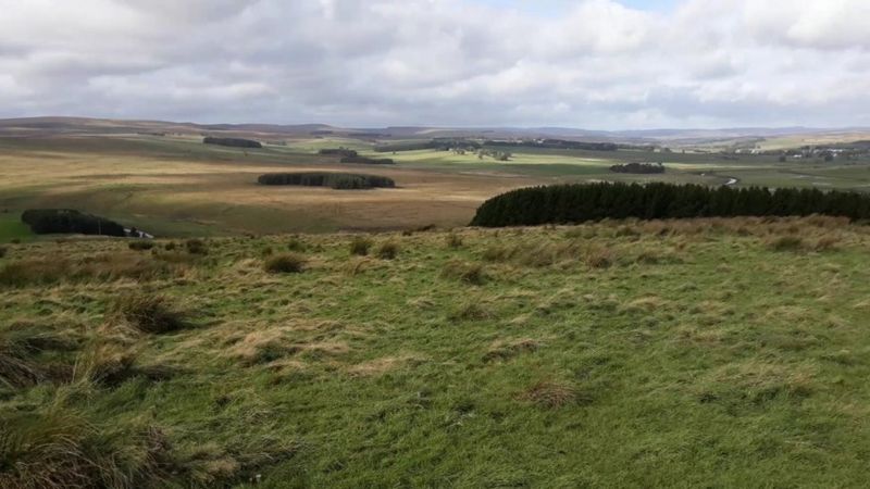 North tree planting project hoped to absorb 600,000 tonnes of CO2 - BBC ...