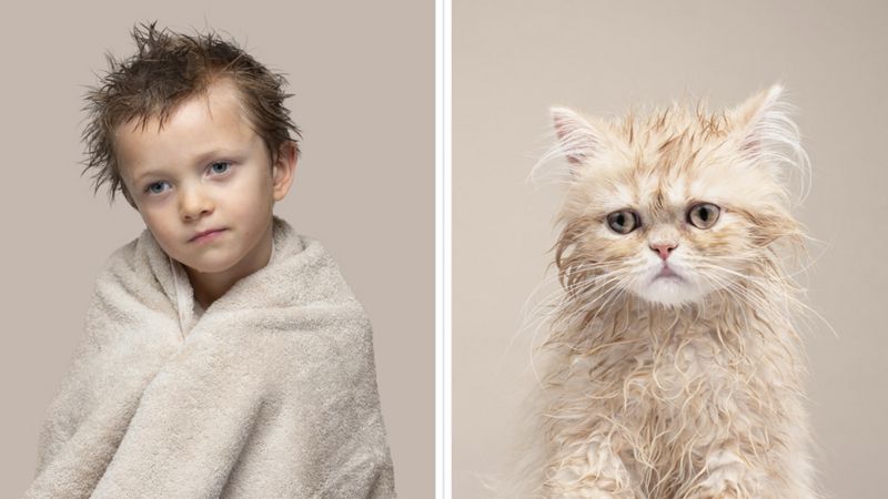 Meet the cats with human lookalikes! - BBC Newsround