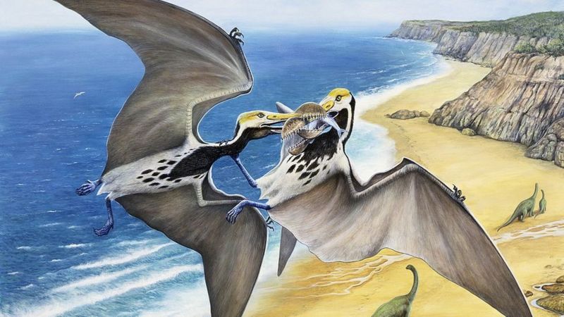 Pterodactyls took millions of years to become "deadly masters of the ...