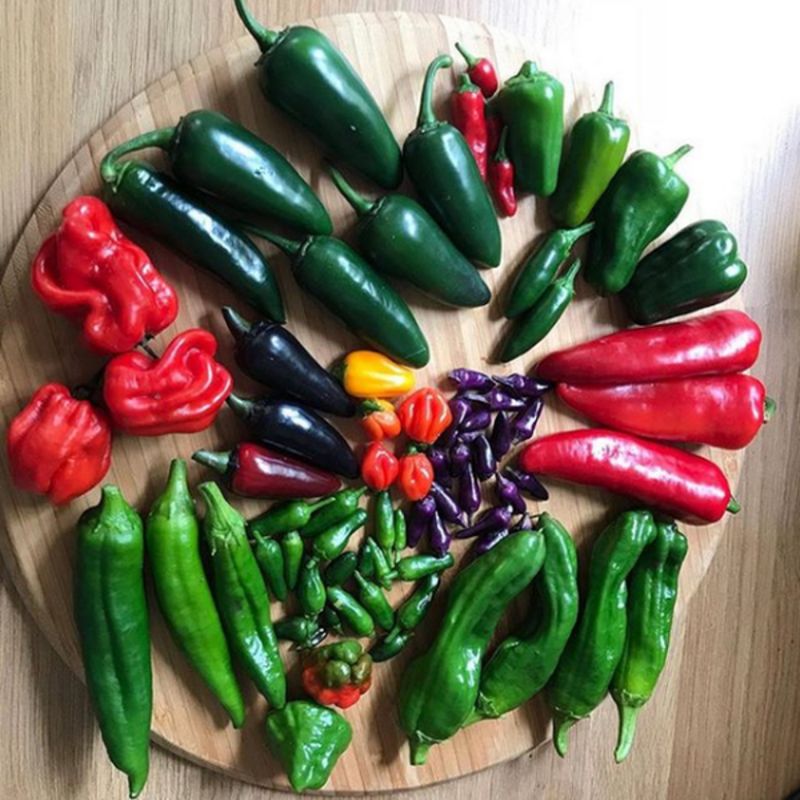 The town that became Scotland's chilli capital - BBC News