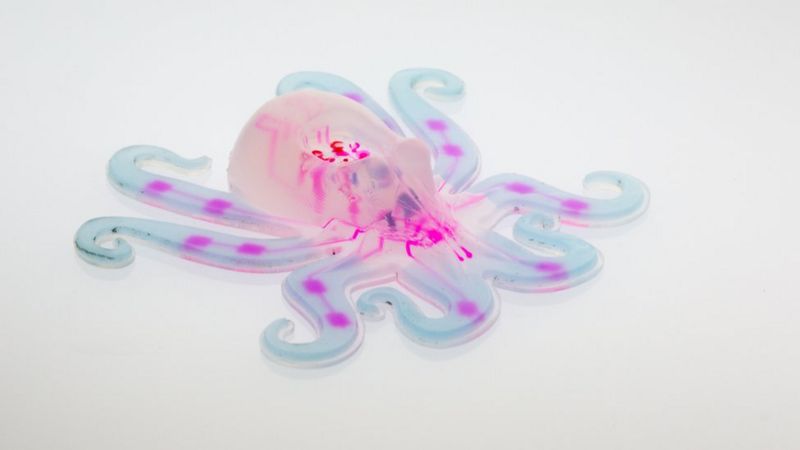 Pneumatic octopus is first soft, solo robot - BBC News