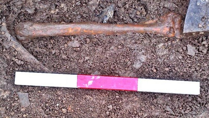 Human bone found at Orkney's Ness of Brodgar dig site - BBC News
