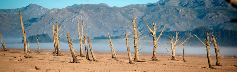 South Africa: Cape Town slashes water use amid drought - BBC News