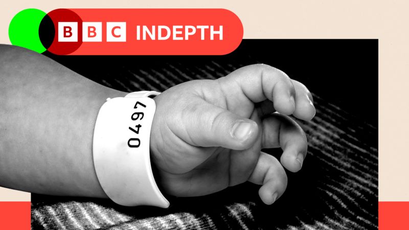 Hazel Shearing - BBC News