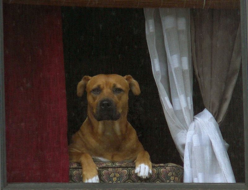 Your pictures on the theme of 'framed' - BBC News