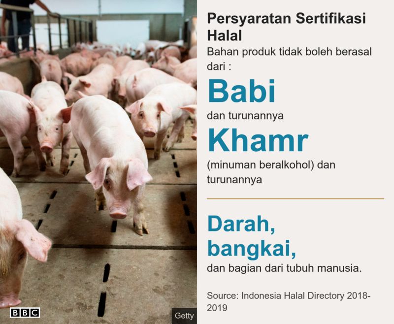 Produk halal: Dari kulkas hingga kosmetik, sertifikasi sebagai tren ...