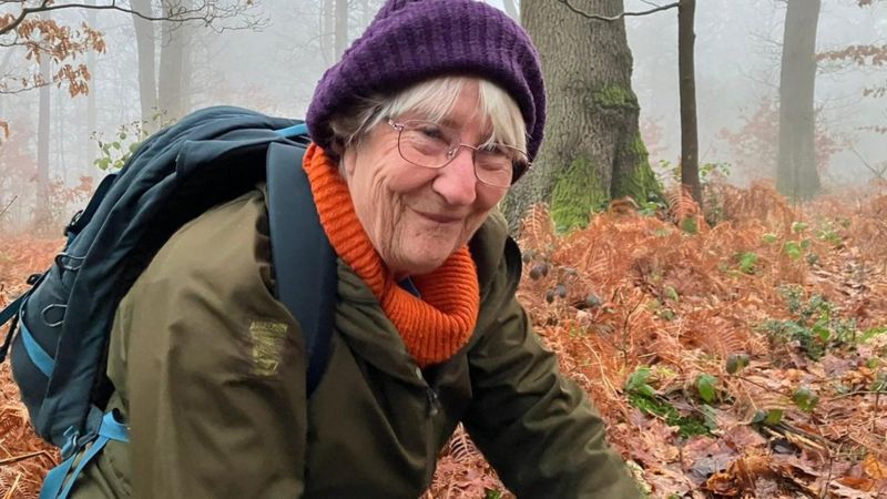 Rare Jurassic-era bug found at Arkansas Walmart - BBC News