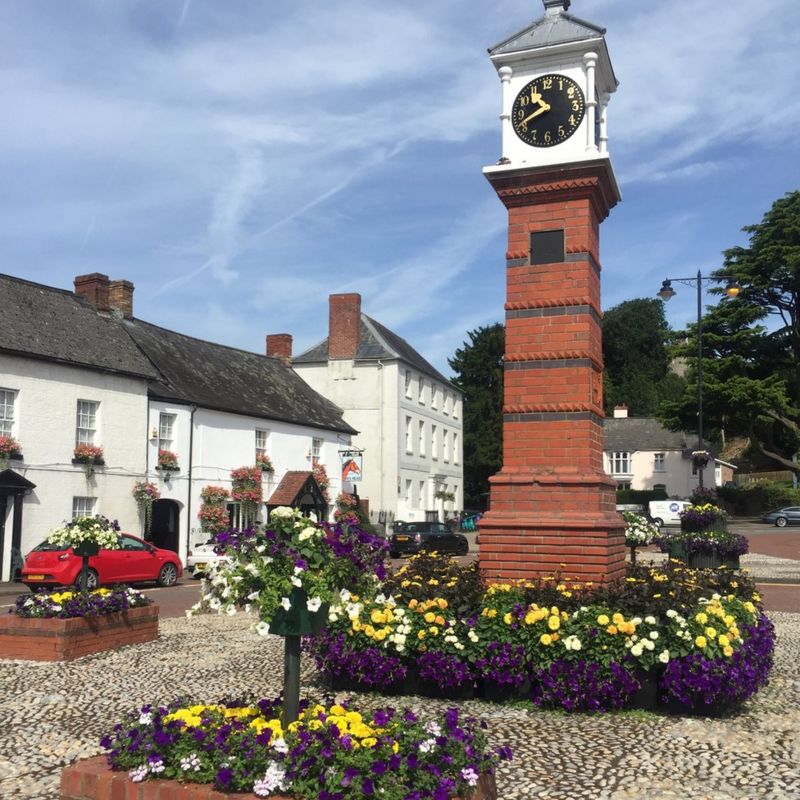 Usk in Bloom makes Monmouthshire council funding bid - BBC News