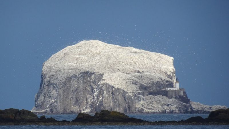 Your pictures of Scotland: 13 - 20 August - BBC News