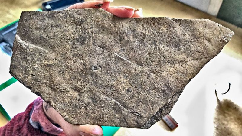 'Stunning' decorated Neolithic stone discovered in Orkney - BBC News