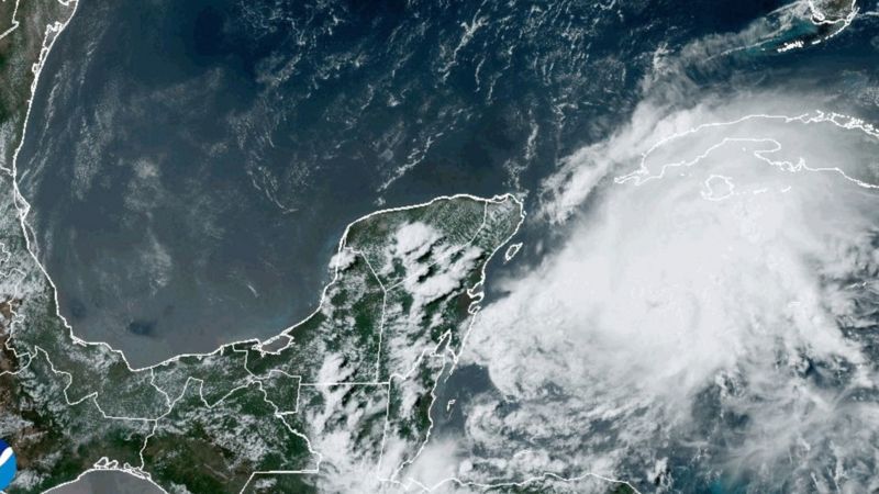 Latin America | Latest News & Updates | BBC News