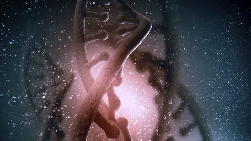 What are the ethics of cryonic preservation? - BBC News