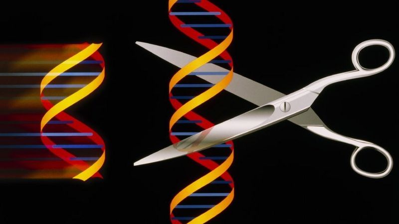 Gene editing: Ethical issues 'should be discussed' - BBC News