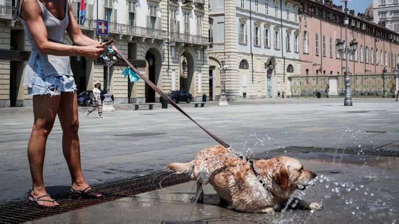 'Unbearable' Cerberus heatwave sweeps across Europe - BBC Newsround