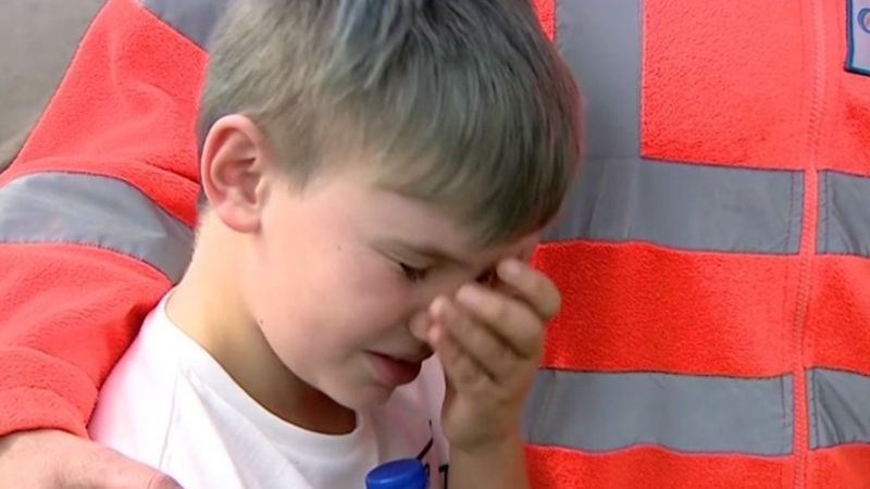 Missing cat reunited with owner after 11 years on the street - BBC News