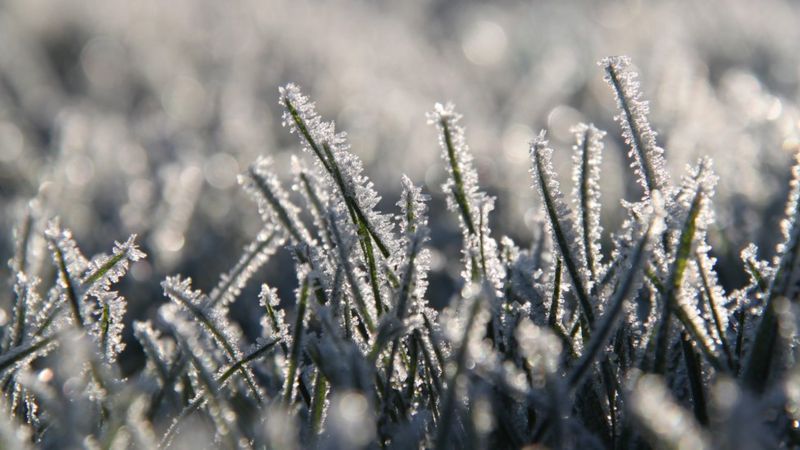 Your pictures: Cold weather - BBC News
