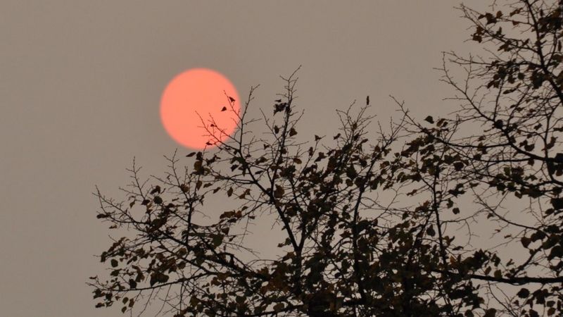 Red sun phenomenon 'caused by Hurricane Ophelia' - BBC News