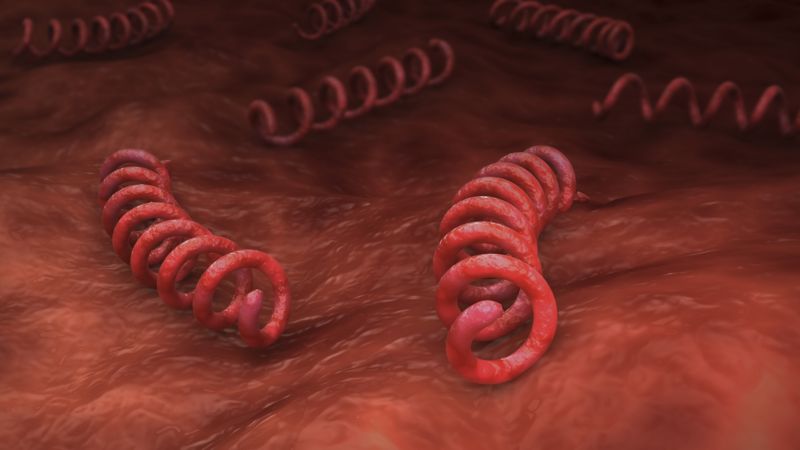 Kasus sifilis meningkat secara global, kecepatannya 'mengkhawatirkan ...