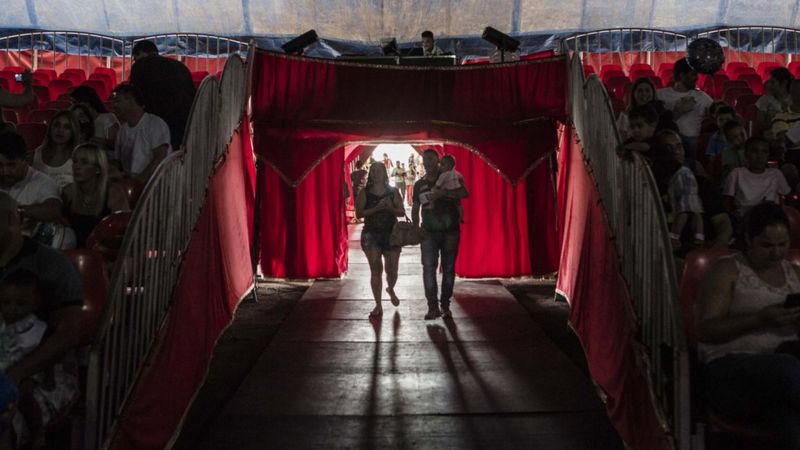 A luta dos circos brasileiros pela sobrevivência - BBC News Brasil