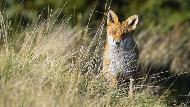 Your pictures of Scotland: 24 September - 1 October - BBC News