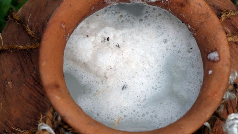 How Sri Lanka's arrack coconut spirit went upmarket - BBC News