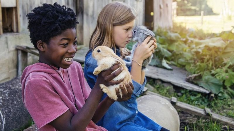 10 razones por las que es bueno estar cerca de los animales (y cómo ...