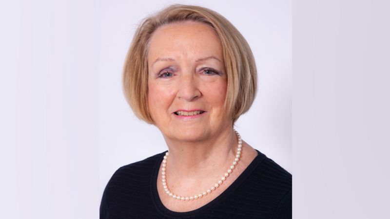 Witham 'sex flags' councillor advised to attend training - BBC News