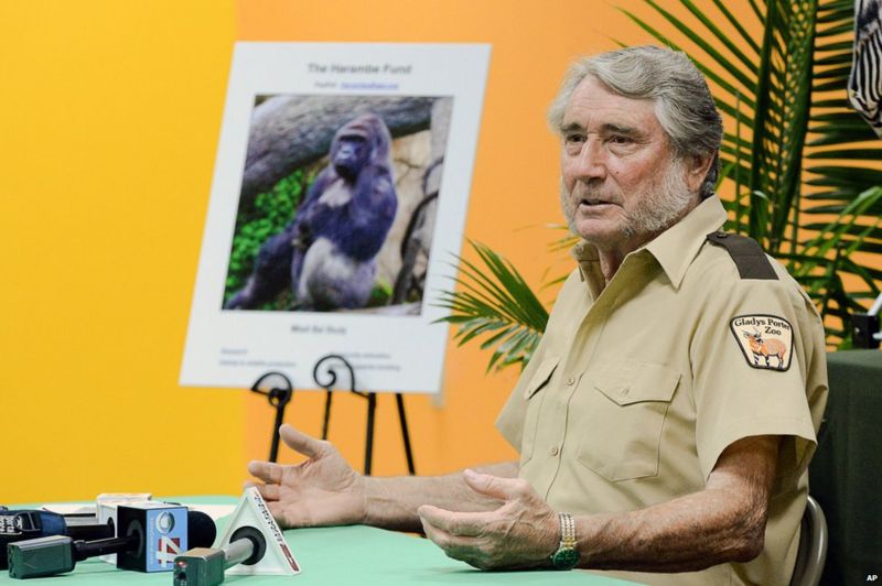 Expert: Shooting Harambe the gorilla was only decision at Cincinnati ...