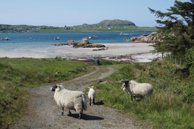 Your pictures of Scotland: 26 May - 2 June - BBC News