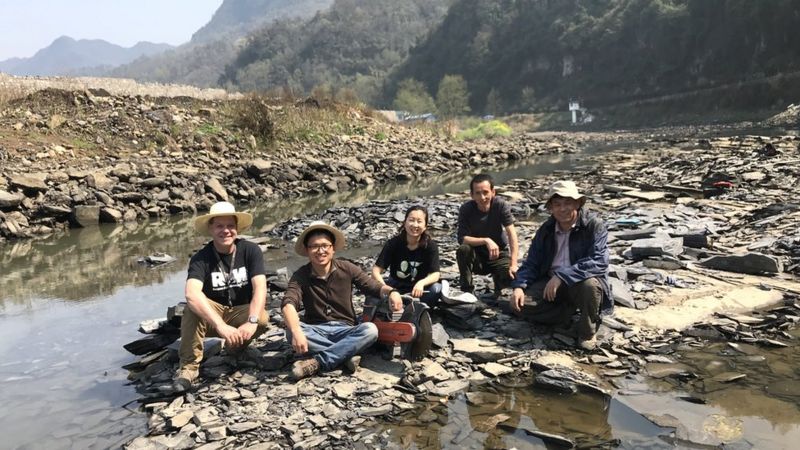 Huge fossil discovery made in China's Hubei province - BBC News
