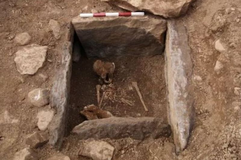 Northumberland Bronze Age skeleton: Whose bones are these? - BBC News