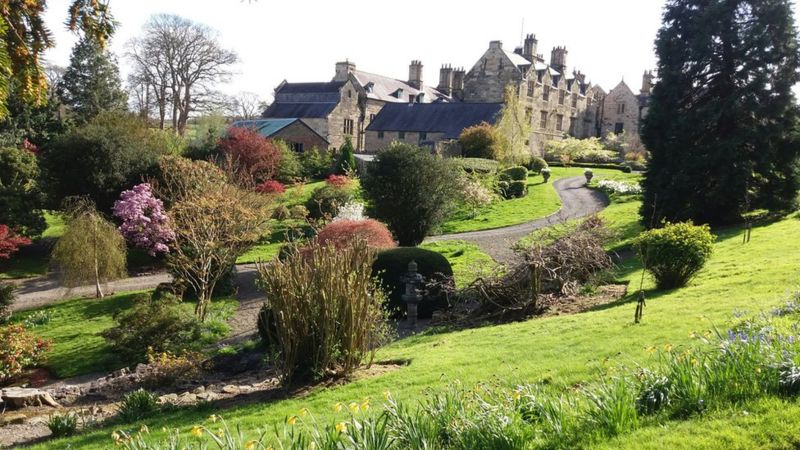 Mostyn Hall gardens open for National Garden Scheme - BBC News