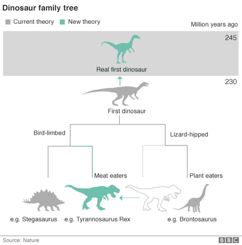 Major shake-up suggests dinosaurs may have 'UK origin' - BBC News