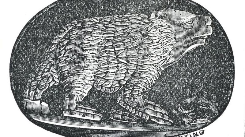 Lost history of brown bears in Britain revealed - BBC News