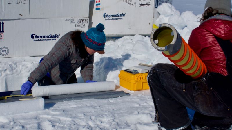 Ozone layer: Concern grows over threat from replacement chemicals - BBC ...
